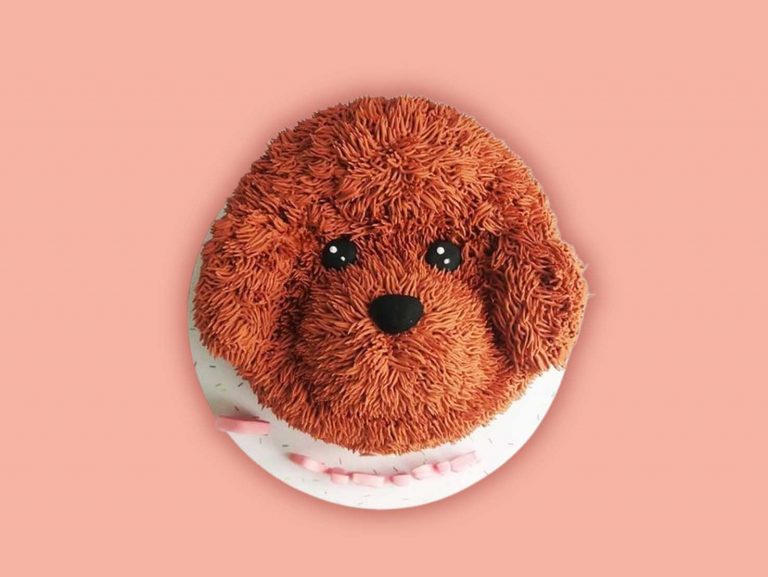 Get Your Dachshund Birthday Cake | Cute Pet Bakery
